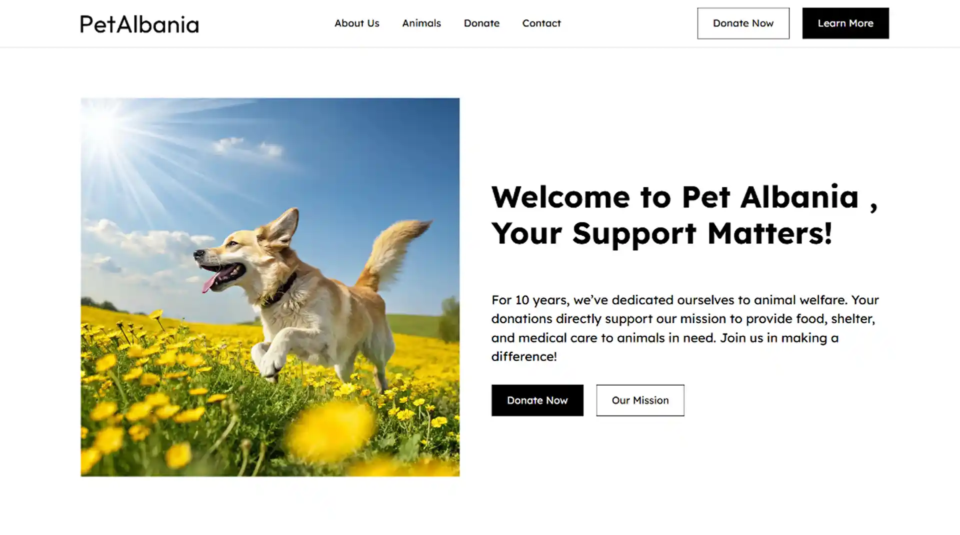 Portfolio Highlights - Endri Xhukellari | Web Developer
